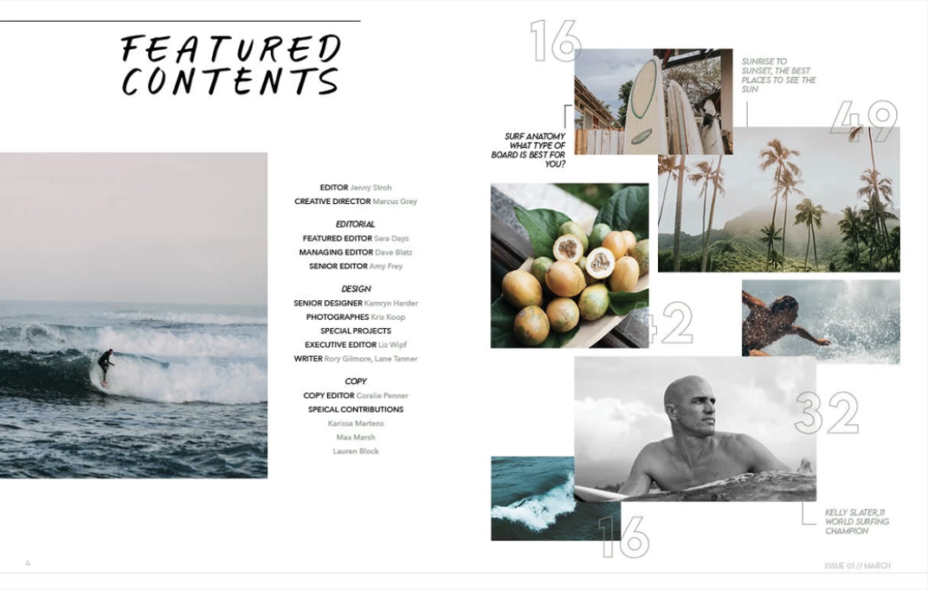 5 Key Graphic Design Projects for your Portfolio (with examples!)