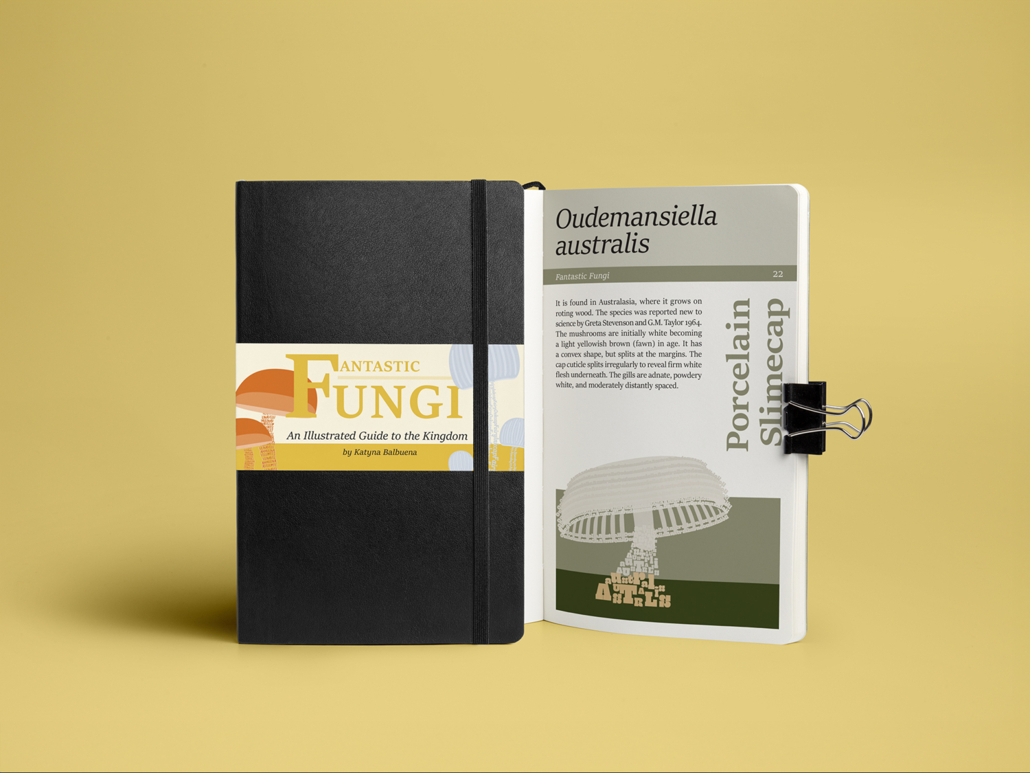 FieldGuide_Cover - InFocus Film School